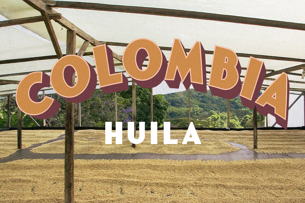 Getting to know Huila, Colombia – Detour Coffee Roasters